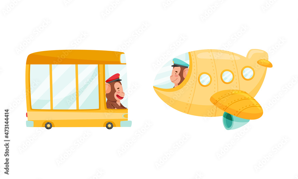Cute monkey character in transport set. Funny jungle animal driving bus ...