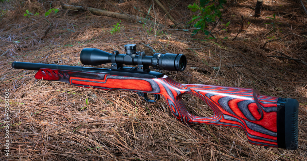Rifle scope on a rimfire semi-auto firearm Stock Photo | Adobe Stock