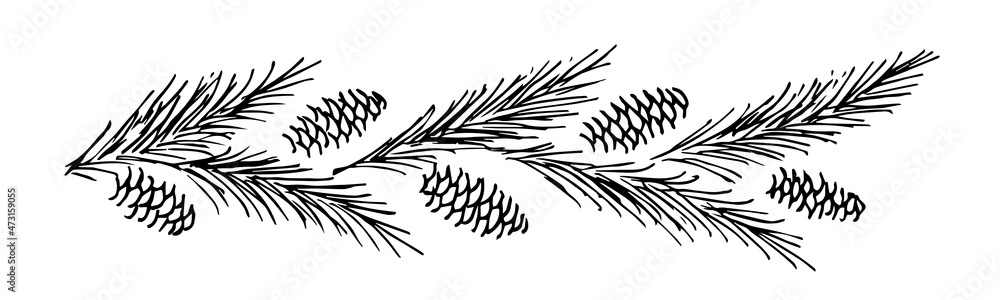 Pine Branch Clipart Black And White