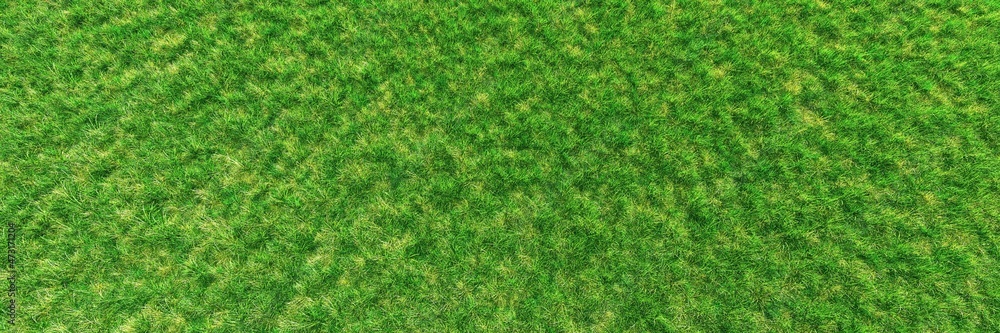 Beautiful green grass, grass glade texture, grassy background, grass ...