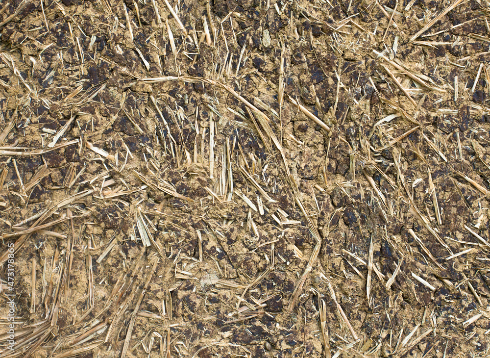 Wattle and daub wall texture Stock Photo | Adobe Stock