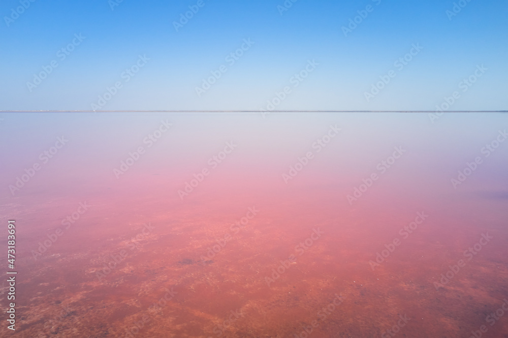 Shallow salt lake with pink water color. At the horizon, the color of ...