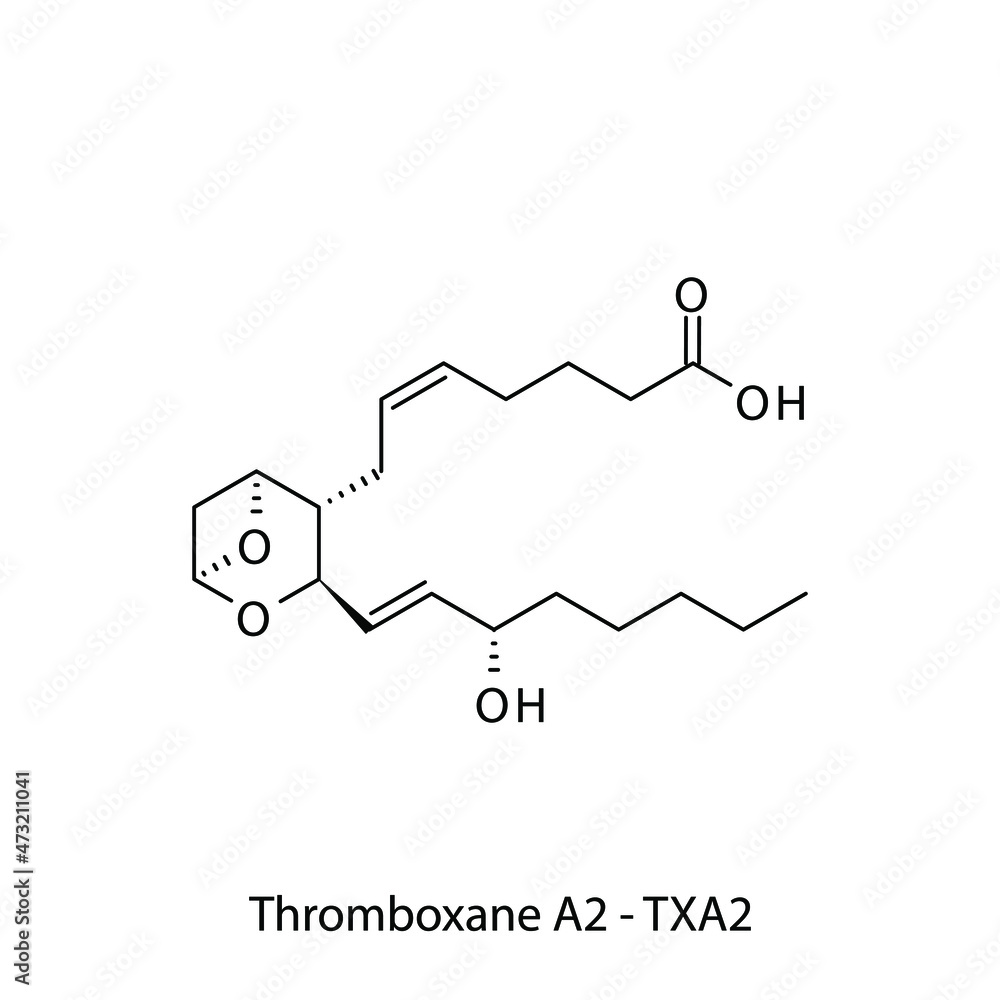 Thromboxane A2 Prostaglandin biomolecule molecular formula. Skeletal ...