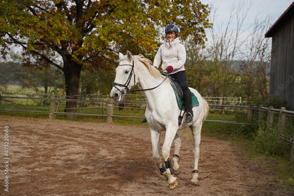 Training with the white horse on a riding ground in autumn Stock Photo ...