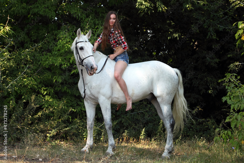 Beautiful cowgirl bareback ride her horse in woods glade at sunset ...