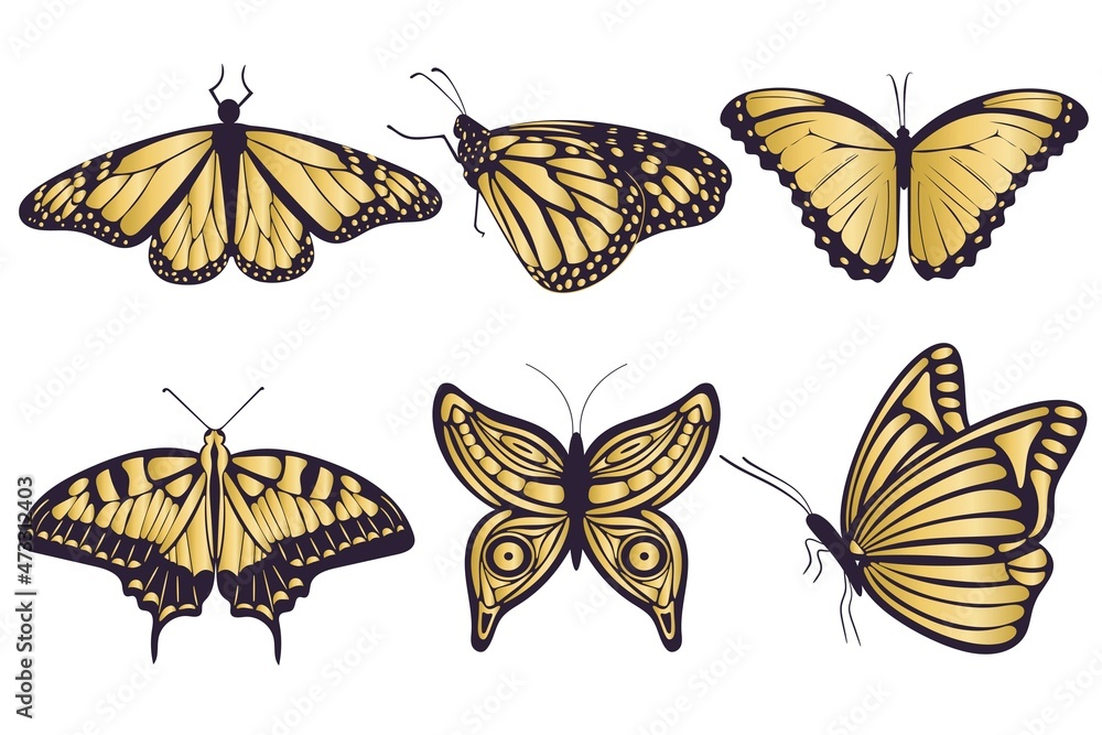 Gold butterflies set isolated vector illustration. Collection of ...