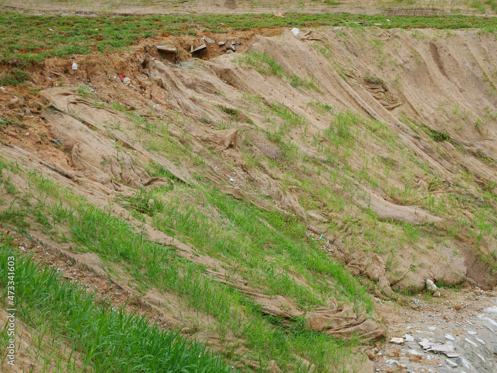 Permanent slope protection with grass using the hydroseed method. The ...
