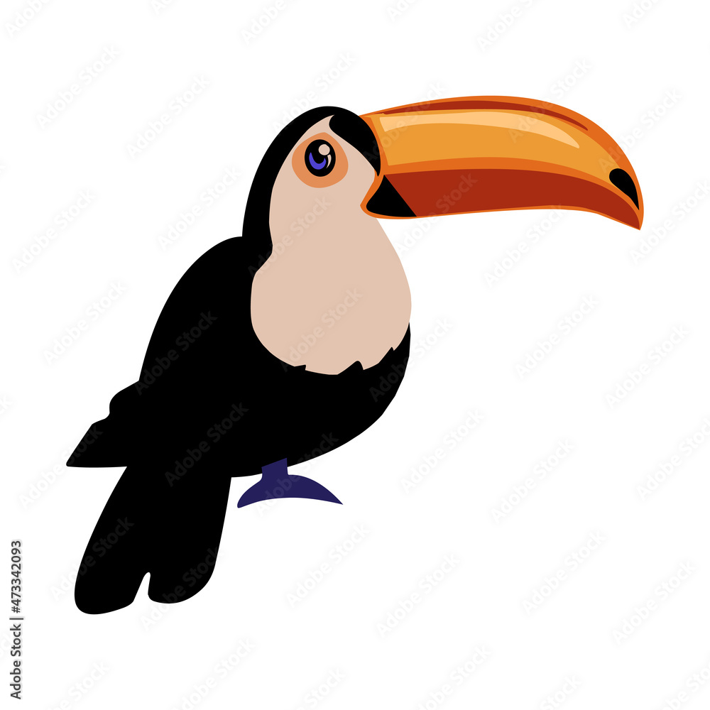 toucan bird character isolated vector simple cartoon hand drawn Stock ...