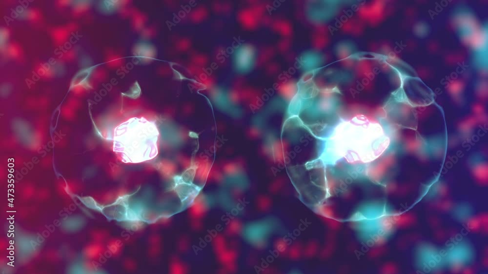 Bacteria cell division - mitosis and reproduction concept. 3D rendered ...