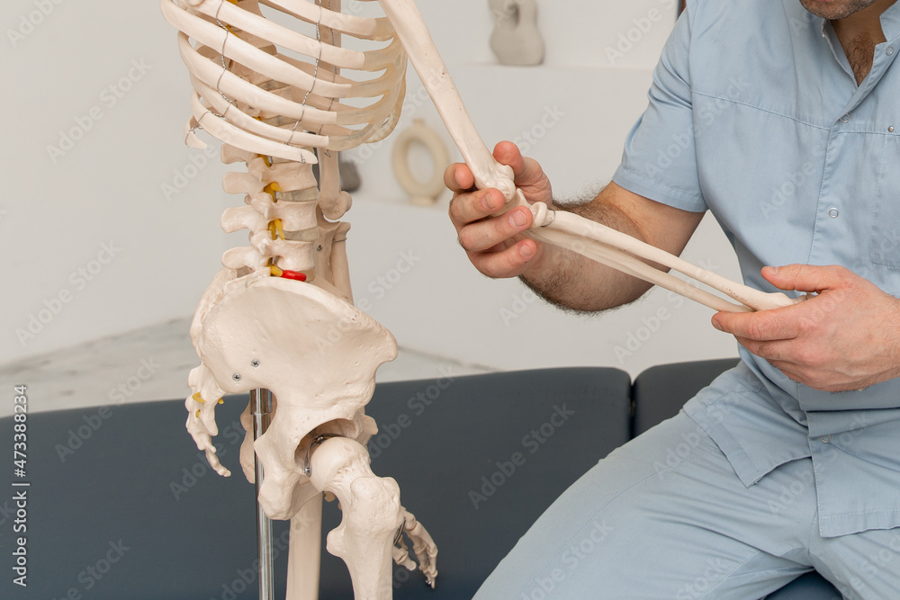 Doctor man pointing on arm of human skeleton anatomical model ...