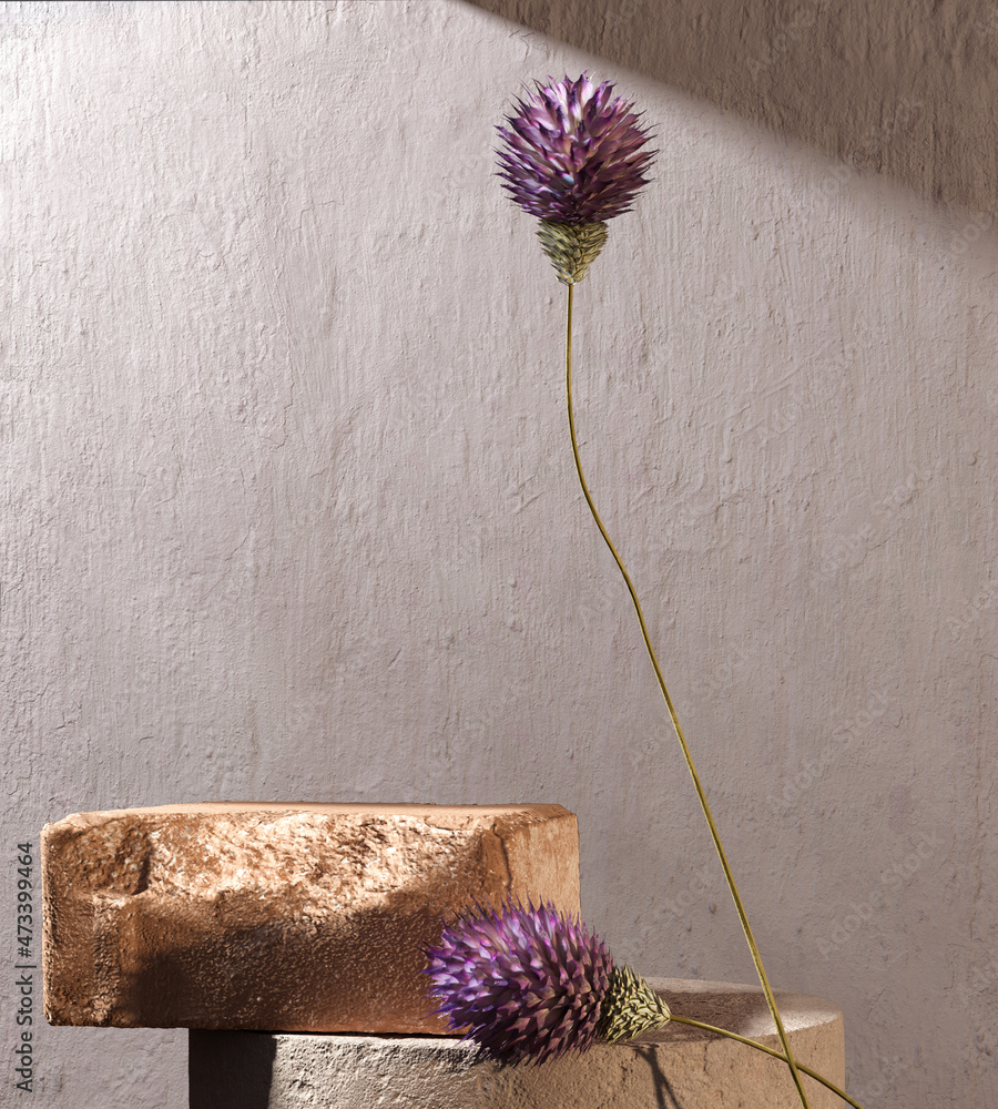 Product display podium, object placement platform of stones and dry ...