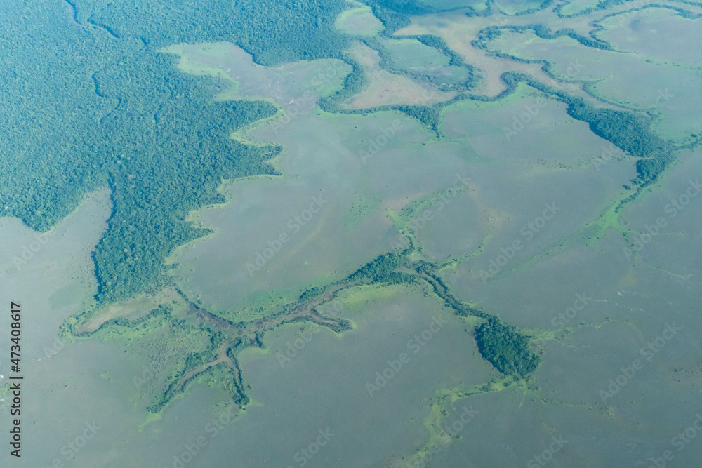 Aerial view of an area of the Marajo island, Para state, Brazil ...