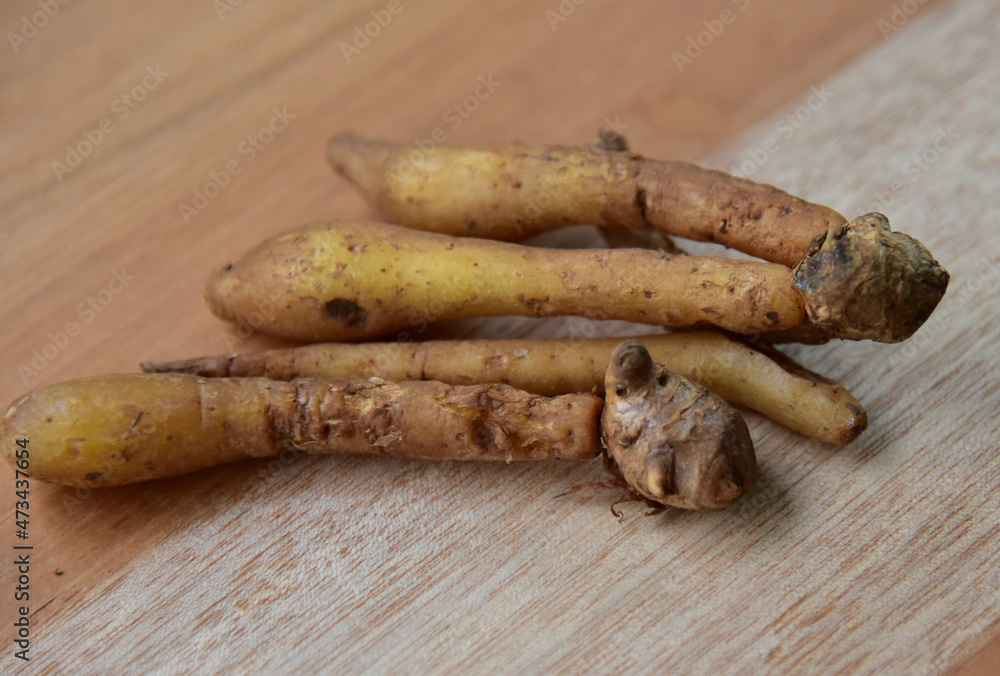 Boesenbergia rotunda, commonly known as Chinese keys, fingerroot ...
