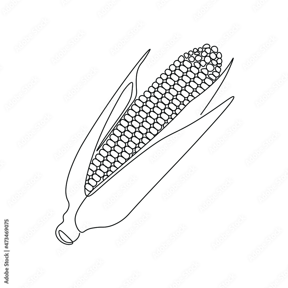 Corn line drawing vector. Food concept. Isolated icon. Vegetable Vector ...