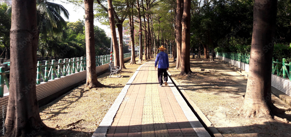 Back view of an Asian man walking on a forest path in the park in the ...