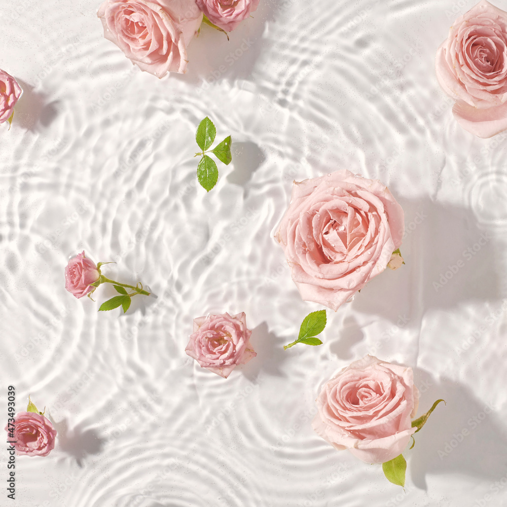 Summer or spring scene with pink roses in water. Minimal nature ...