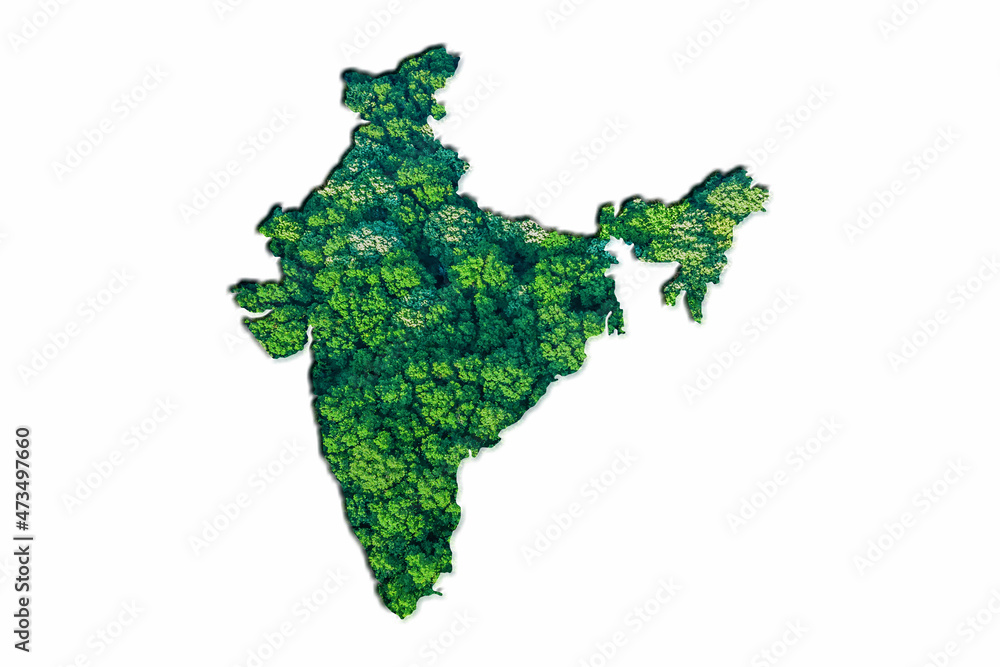 Green Forest Map of India Stock Photo | Adobe Stock