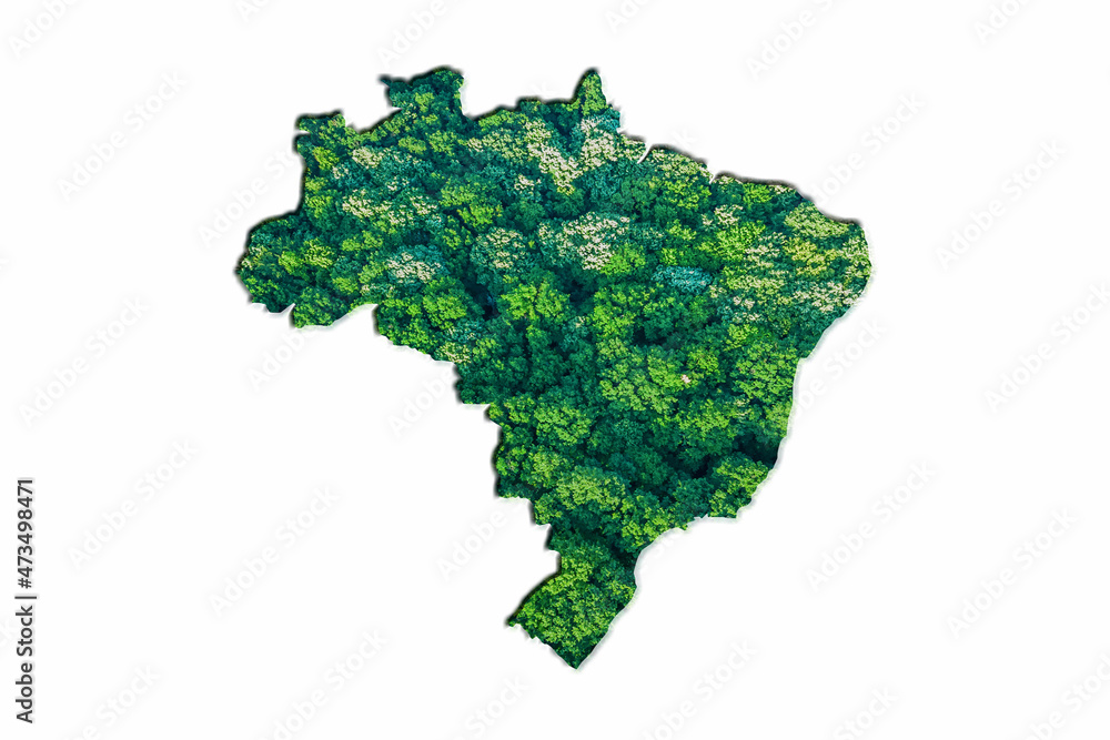 Green Forest Map of Brazil Stock Photo | Adobe Stock