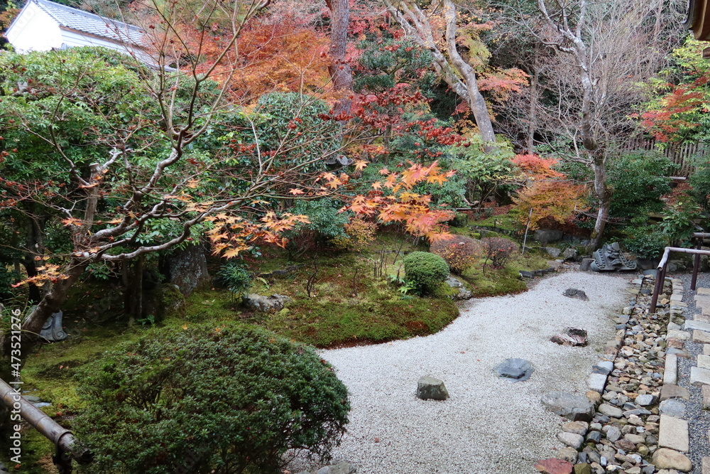 Misono-tei Garden and tea House, and autumn leaves in the precincts of ...