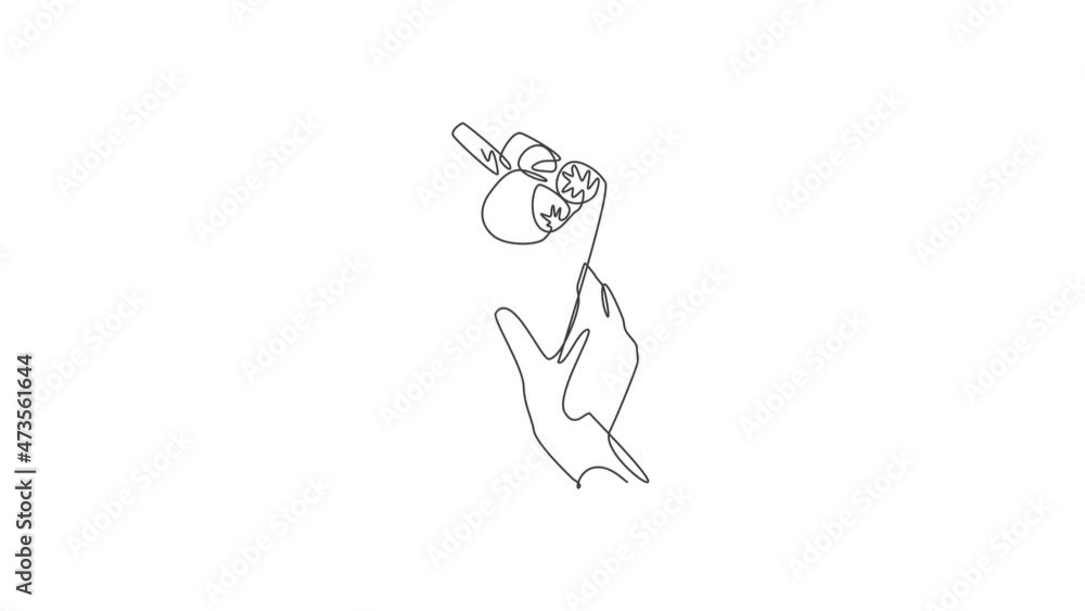 Vidéo Stock Animation of one line drawing of fresh delicious crispy ...