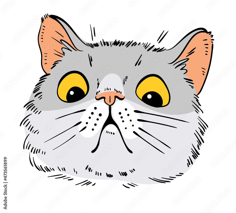 Cat portrait drawing. Shocked cat. Cartoon characters. Funny vector ...