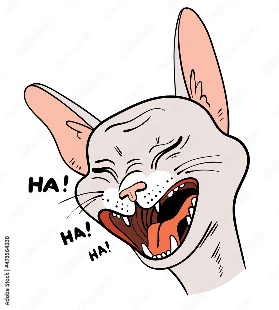 Laughing Cartoon Face Meme