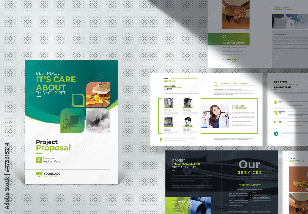 Medical & Health Care Project Proposal Stock Template | Adobe Stock