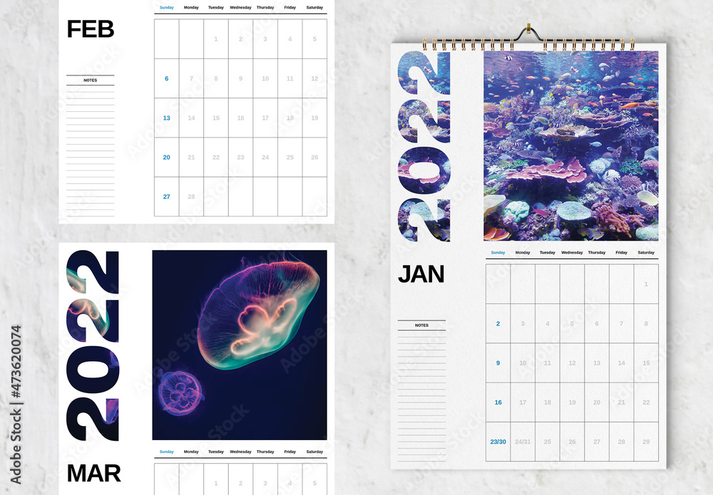 Wall Calendar 2022 Layout Stock Template | Adobe Stock