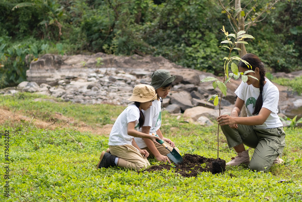 Children, boys and girls help each other plant trees in the forest ...