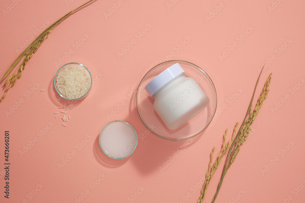 Top view of rice and wheat extract in petri dish and transparent podium ...