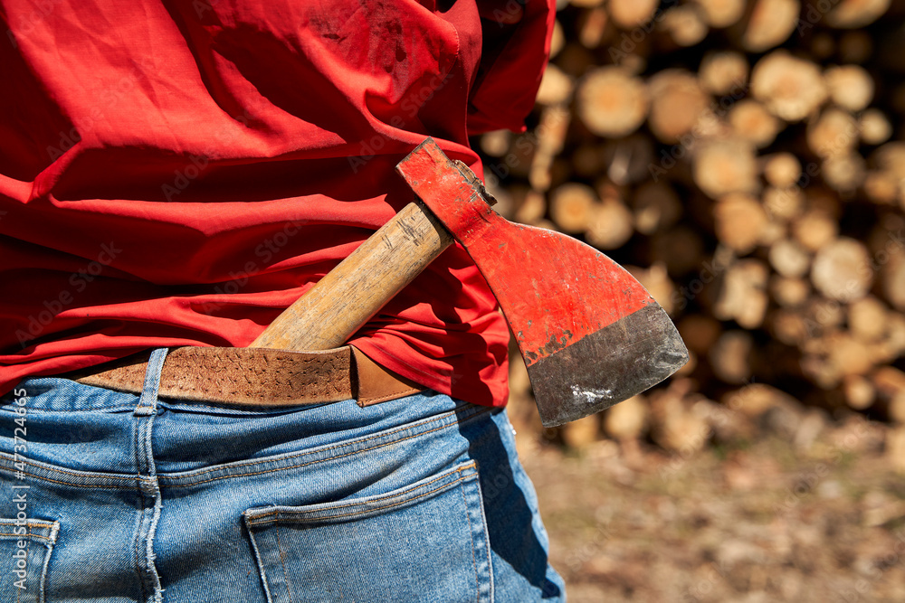 Male logger with axe standing in forest Stock Photo | Adobe Stock