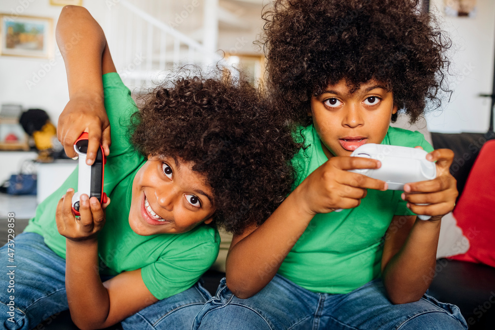 Excited twin brothers playing video game at home Stock Photo | Adobe Stock