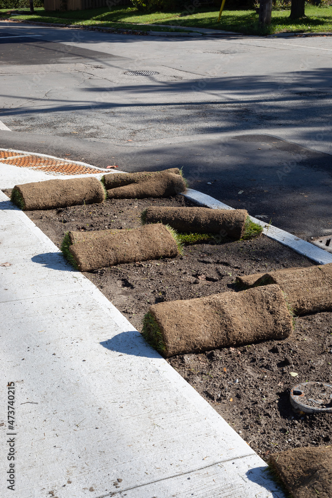 rolls of turf waiting to be laid Stock Photo | Adobe Stock