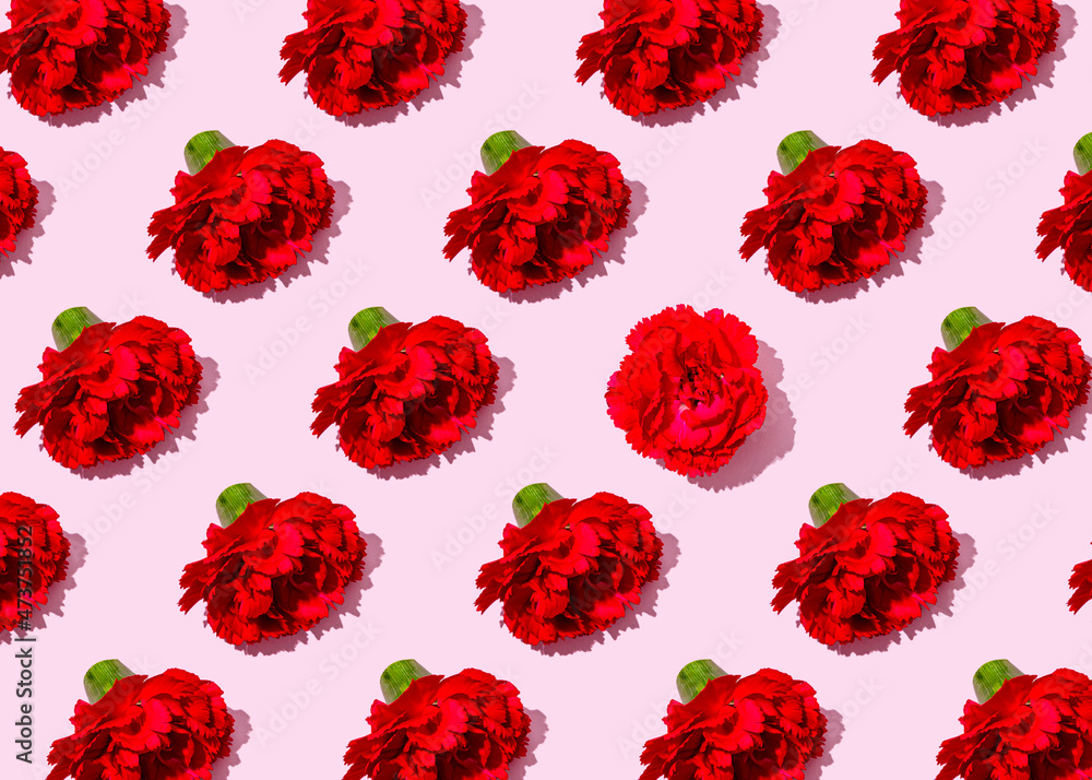 Pattern of heads of red carnation flowers with single one lying in ...