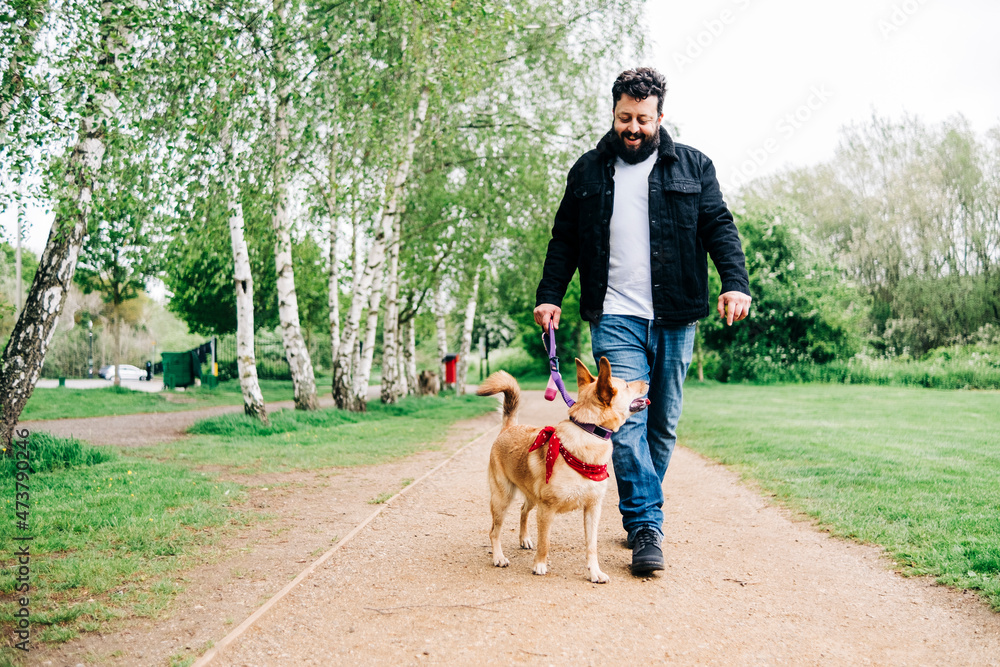 Smiling man walking with dog on footpath at park Stock Photo | Adobe Stock