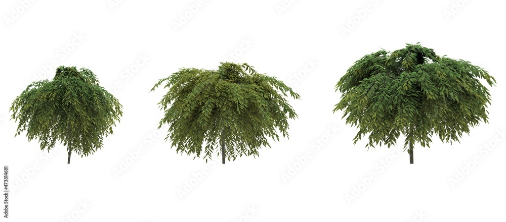 Cutout tree for use as a raw material for editing work. isolated green ...