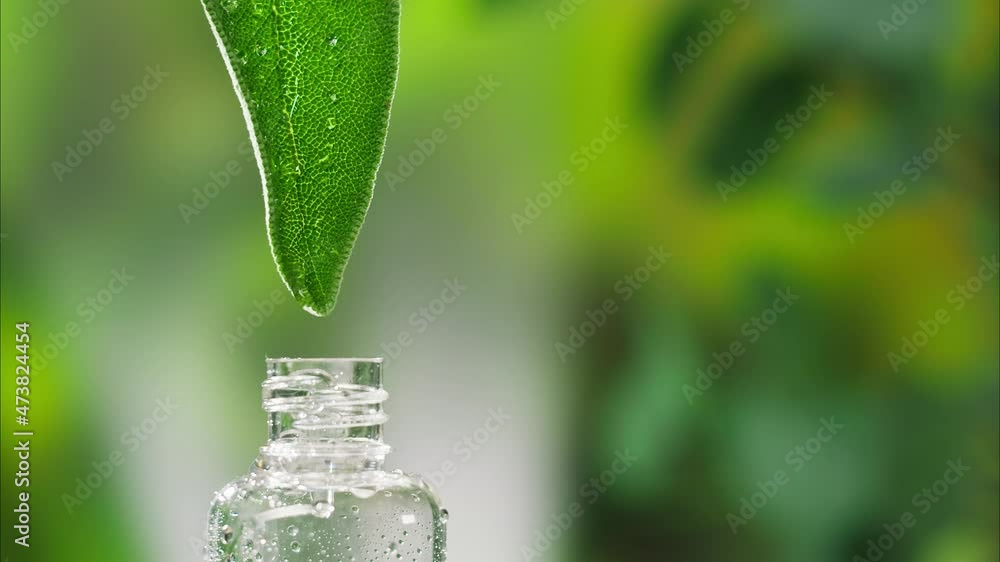 Video „Dripping leaf juice into bottle close-up, plant oil. Making ...