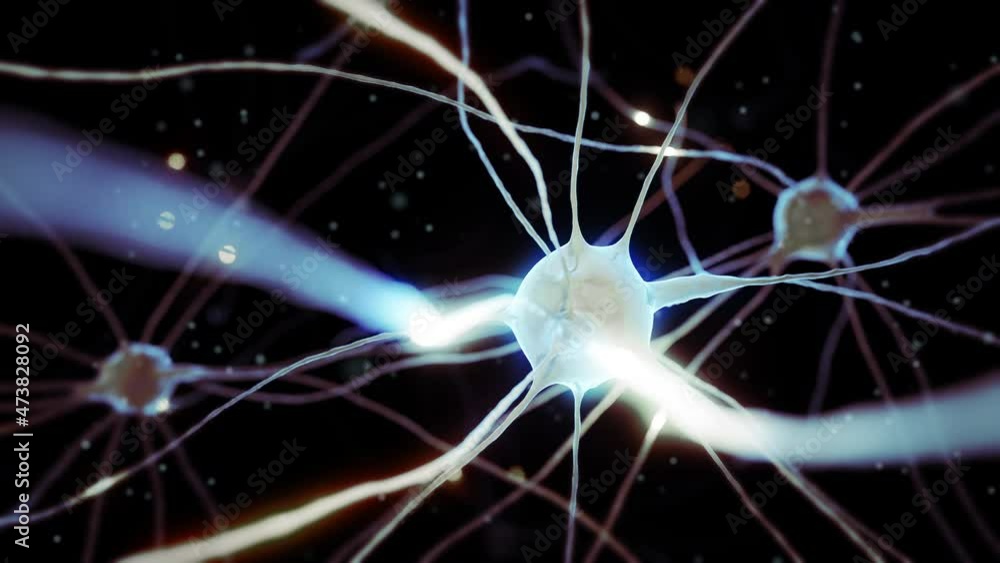 Vídeo do Stock: Animation of the nerve cell in the human brain that ...