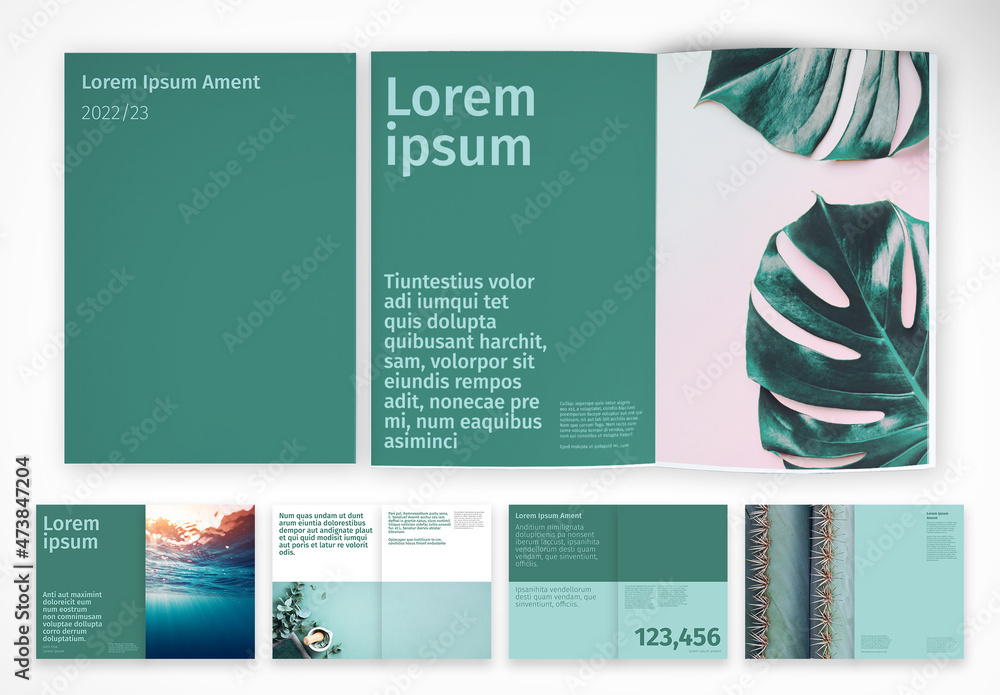 Programmes Advocacy Brochure with Green Accents Stock Template | Adobe ...