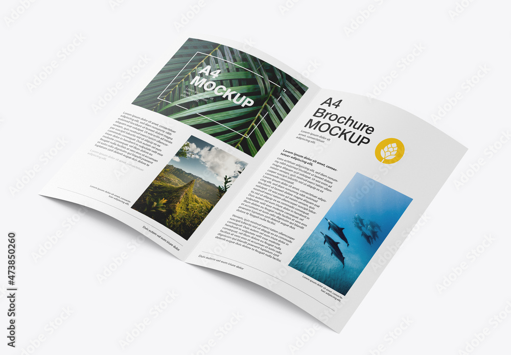 Matte Brochure Mockup Stock Template | Adobe Stock