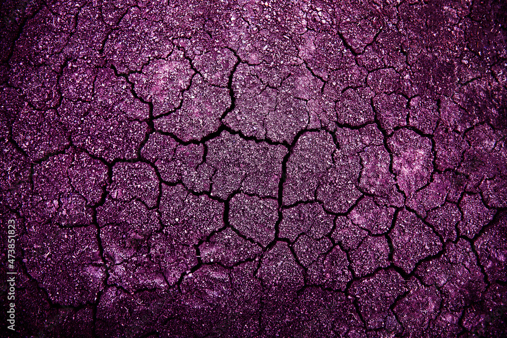 Violet dried and cracked ground earth background, Close up of dry ...
