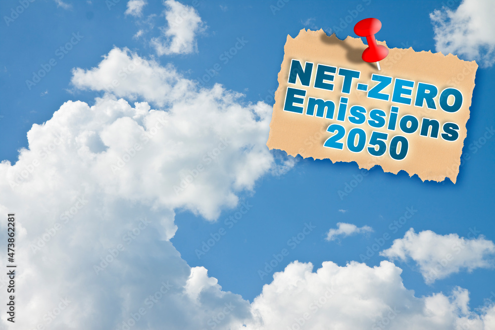 Foto de European Union sets new climate law: net-zero emissions are now ...