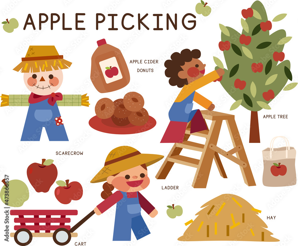 A vector set of apple picking icons: apple tree, apples, hay, ladder ...