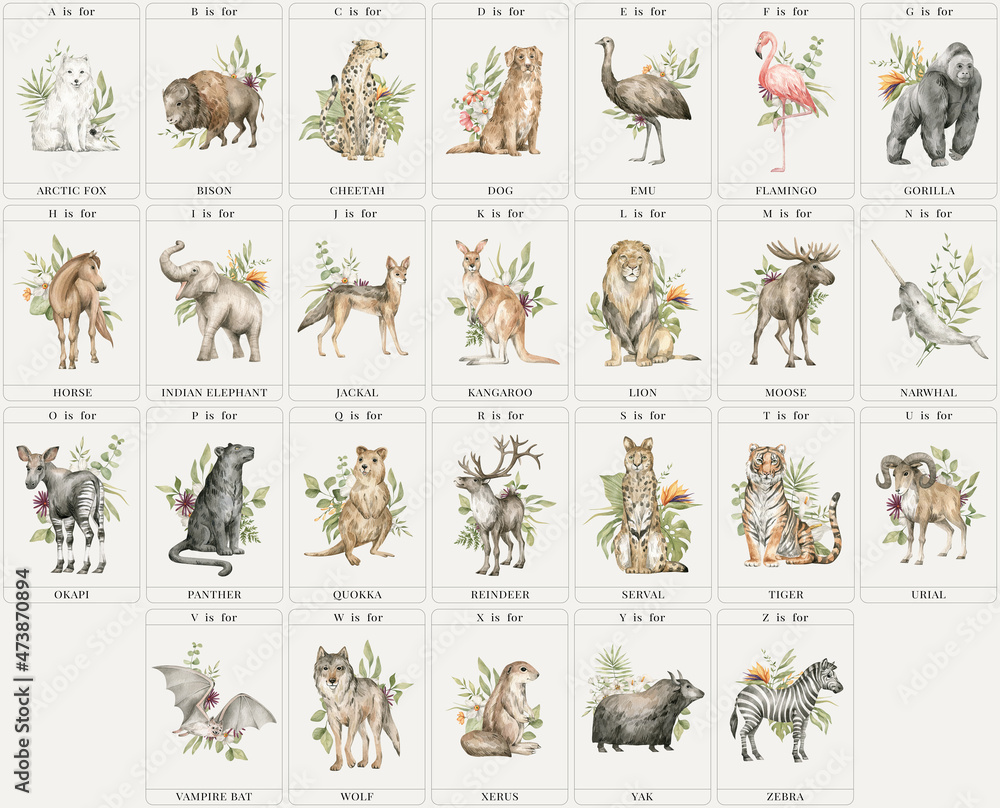 Watercolor educational cards with animals. ABC cards. English ...