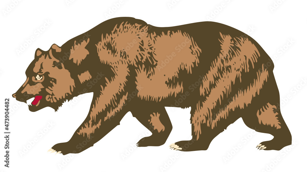 California Bear illustration Stock Vector | Adobe Stock