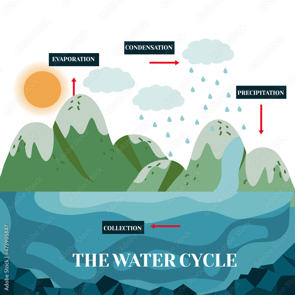 Illustration of water cycle from mountain to ocean Stock Vector | Adobe ...