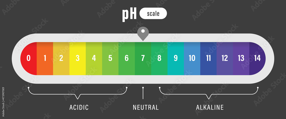pH value scale chart for acid and alkaline solutions, acid-base balance ...
