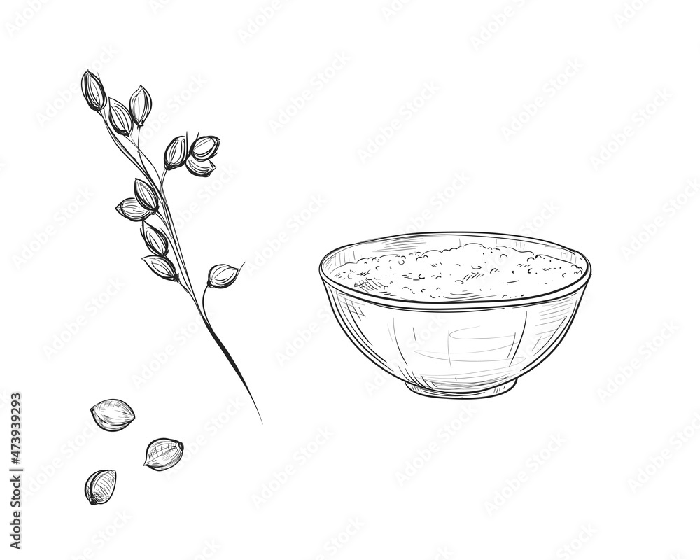 Hand drawn sketch black and white set of millet, grain, leaf. Vector ...