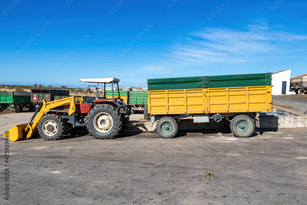 Tractor with trailer to transport the olive harvest to the olive oil ...