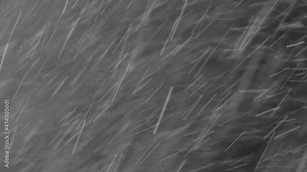 Snowy texture as overlay on black surface, heavy storm, wind with snow ...